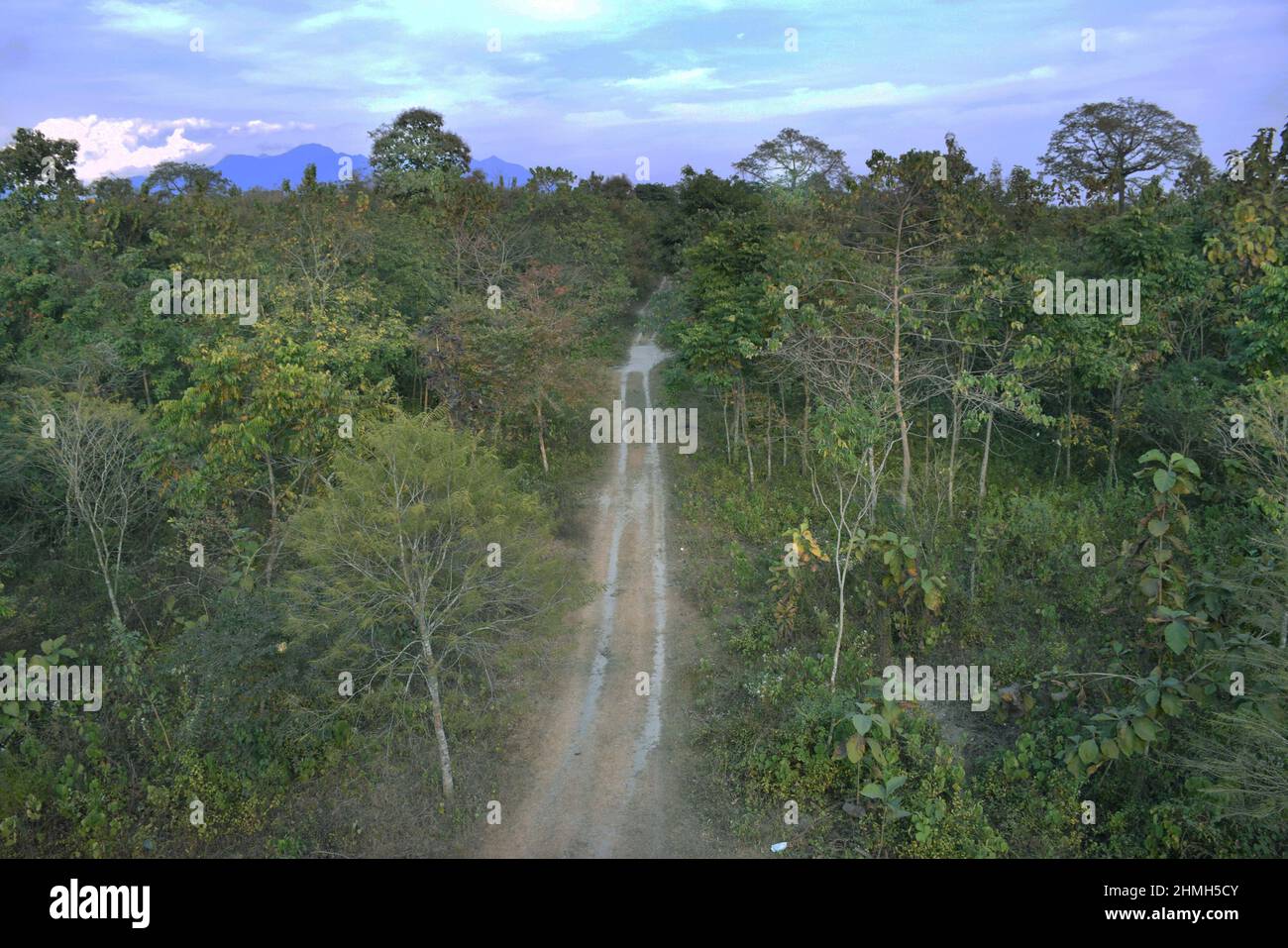 A beautiful road in between a forest or Jungle Stock Photo - Alamy