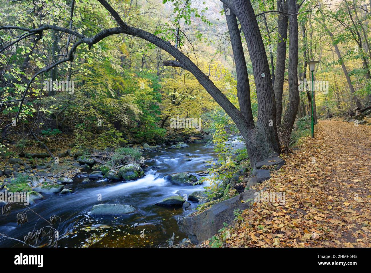 River Bode in the Bodetal near Thale, Harz, Saxony-Anhalt, Germany ...