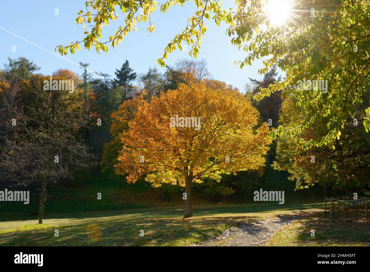 Autumnal park of Blankenburg Castle, Blankenburg, Harz, Saxony-Anhalt ...