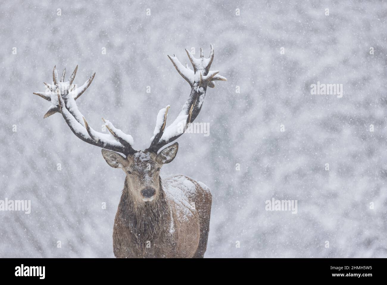 Storms chasing hi-res stock photography and images - Alamy