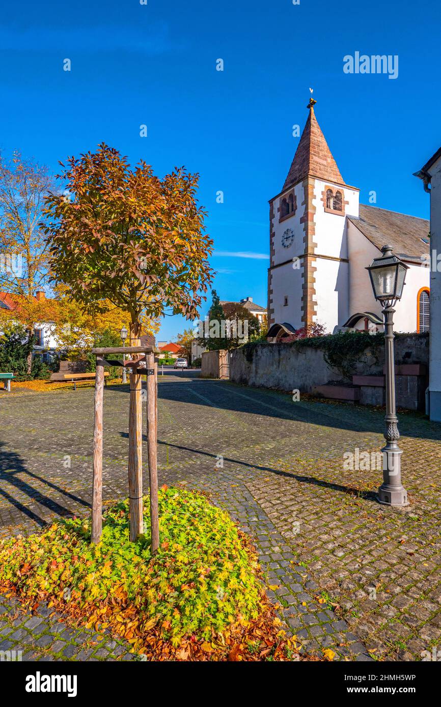 Catholic parish church St. Maria and St. Lucia in Filzem-Hamm near Konz ...