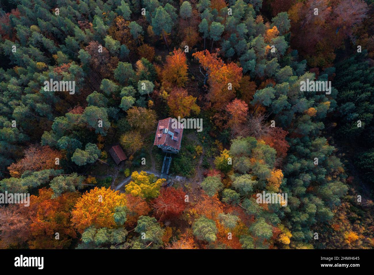 Herzogstuhl hi-res stock photography and images - Alamy