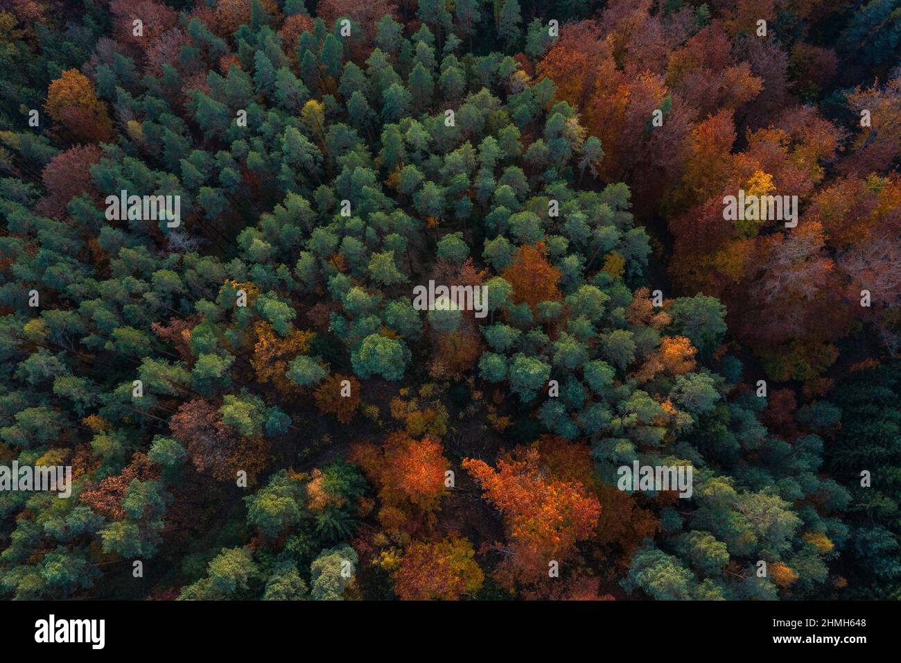 Drone photo from the herzogstuhl in thuringia hi-res stock photography ...