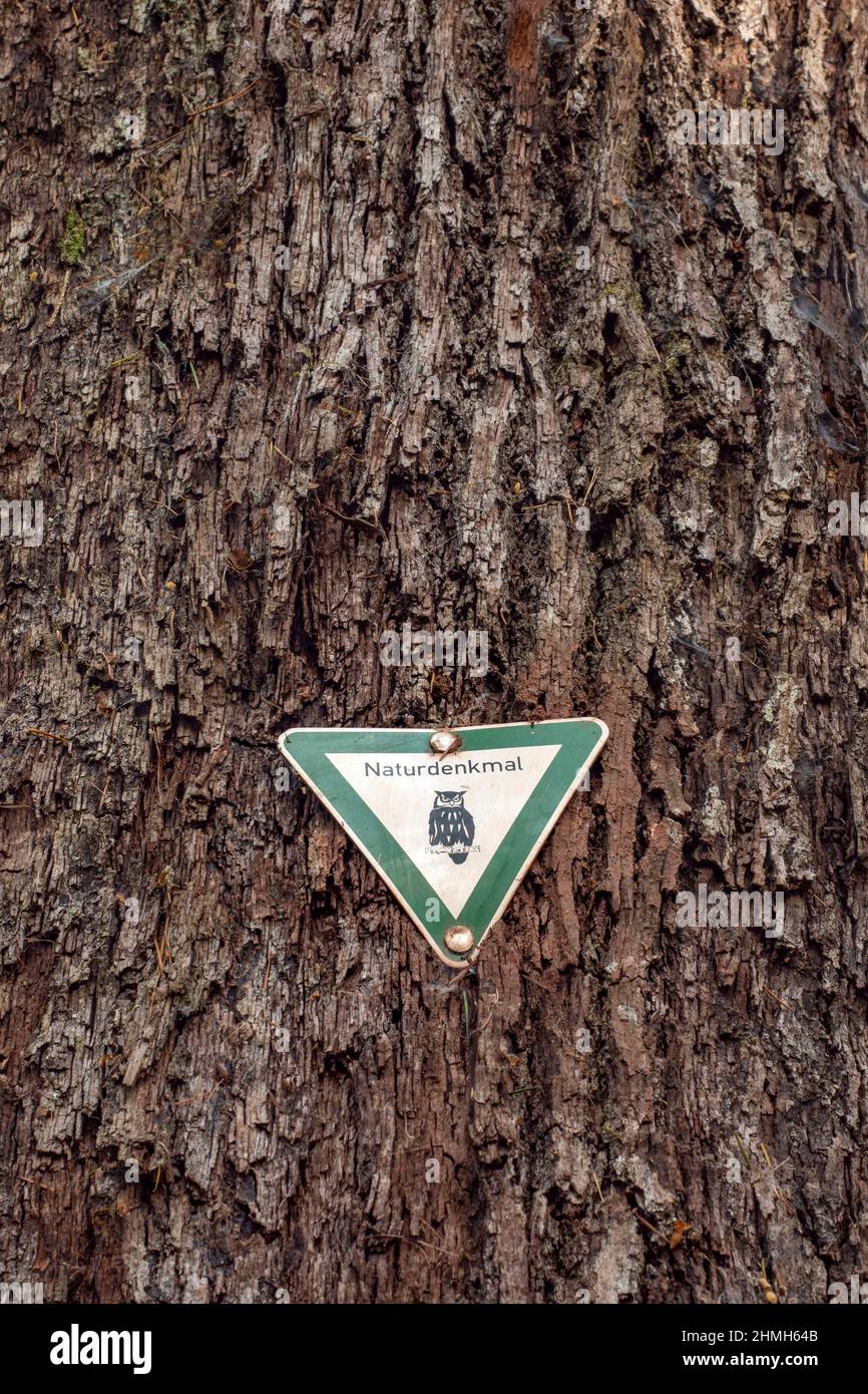 Plaque on tree hi-res stock photography and images - Alamy
