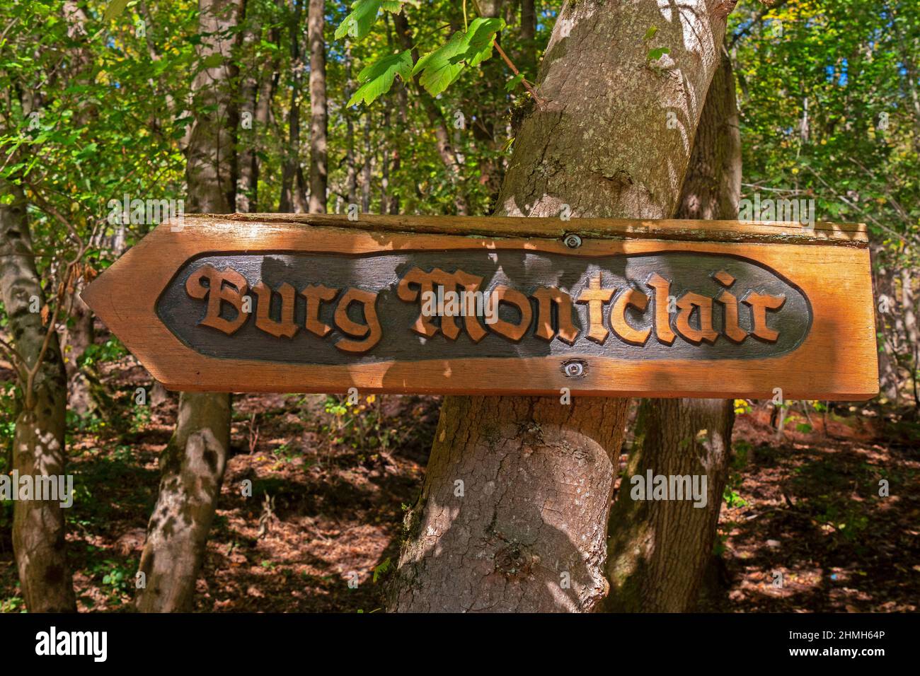 Montclair castle, germany hi-res stock photography and images - Alamy