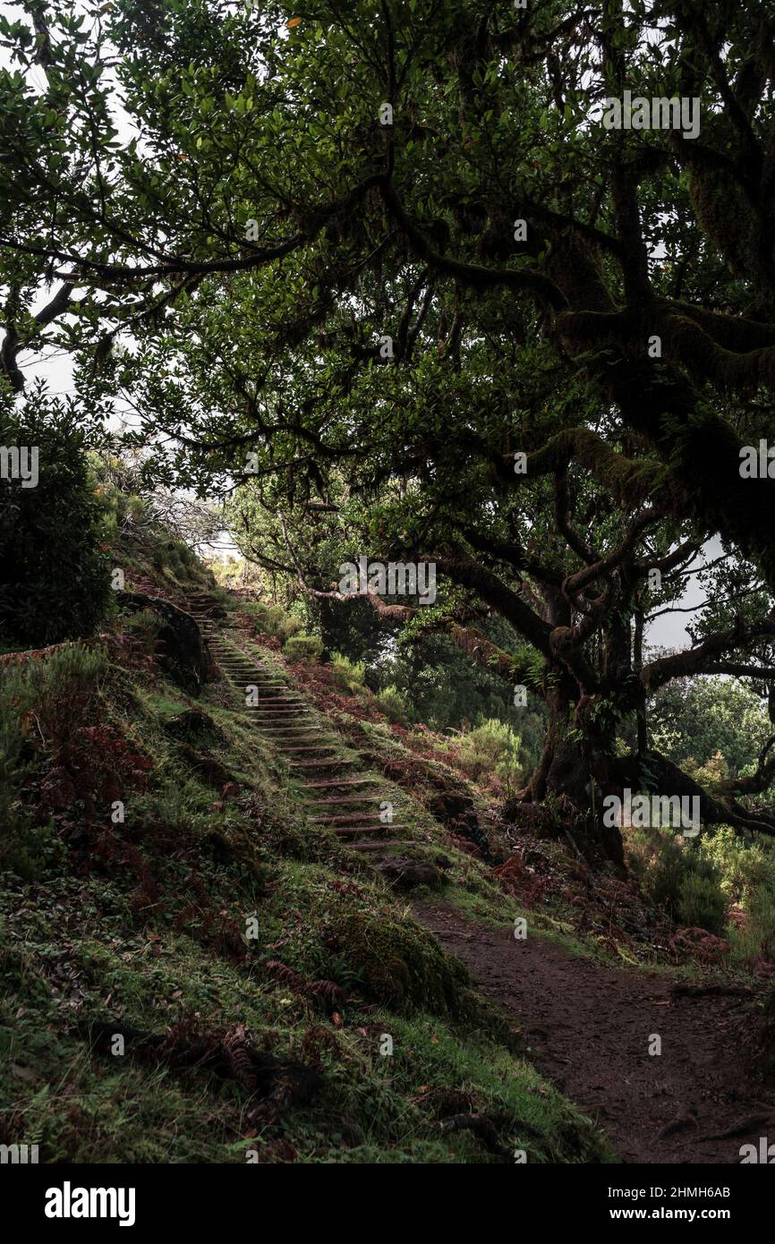 Solitary hike hi-res stock photography and images - Alamy