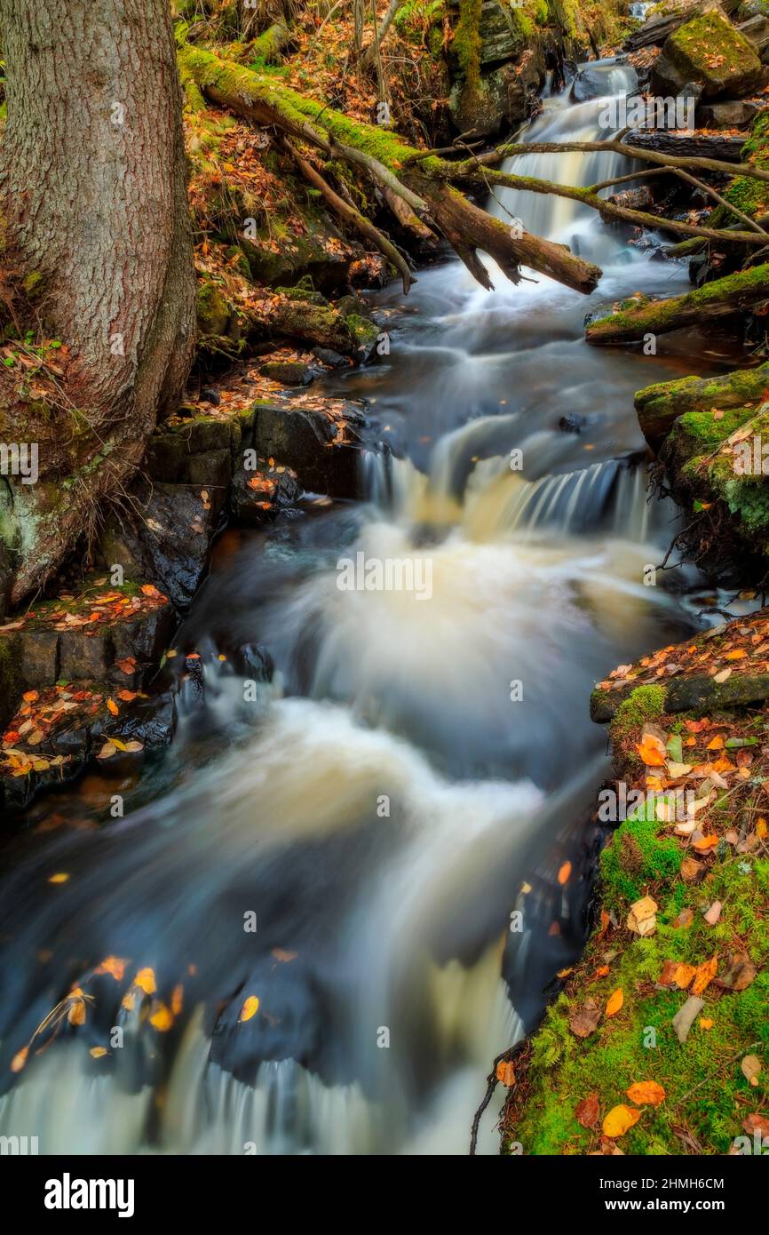 Rocks trees waterfall hi-res stock photography and images - Alamy