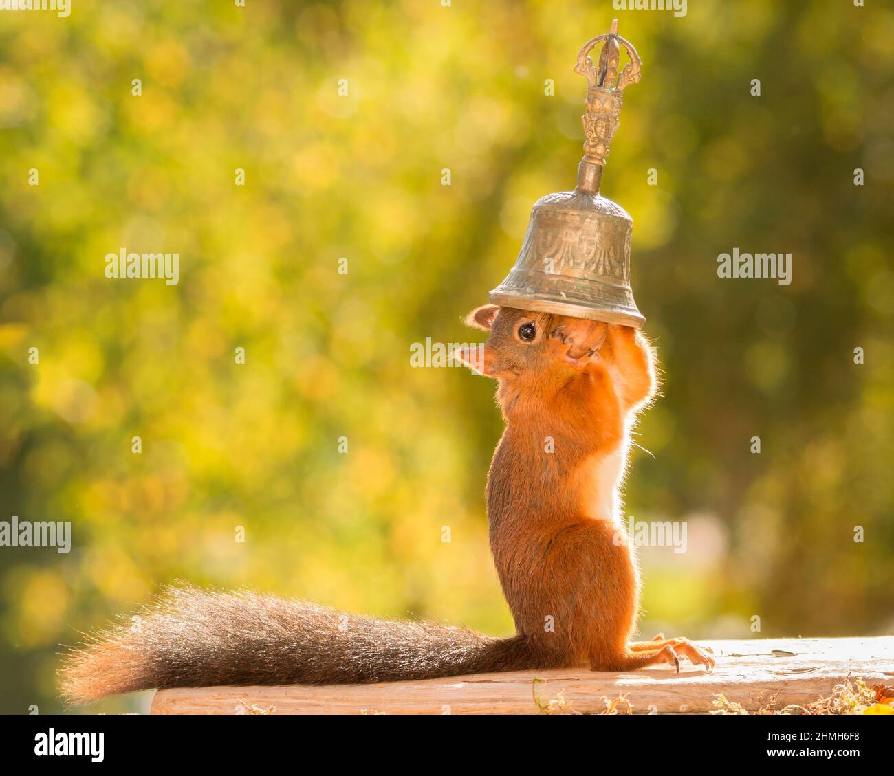 Standing bell hi-res stock photography and images - Alamy