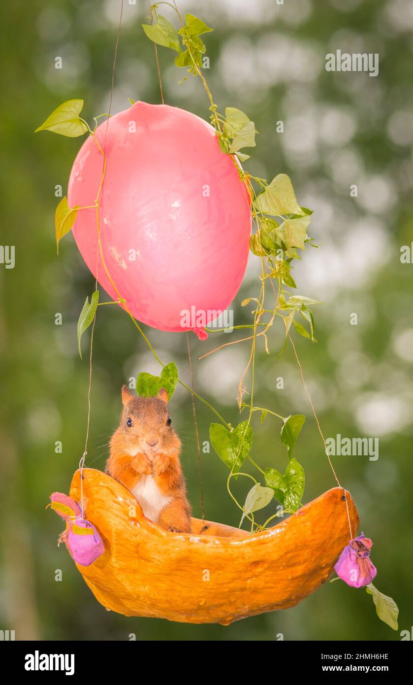 Fly a hot air balloon hi-res stock photography and images - Alamy