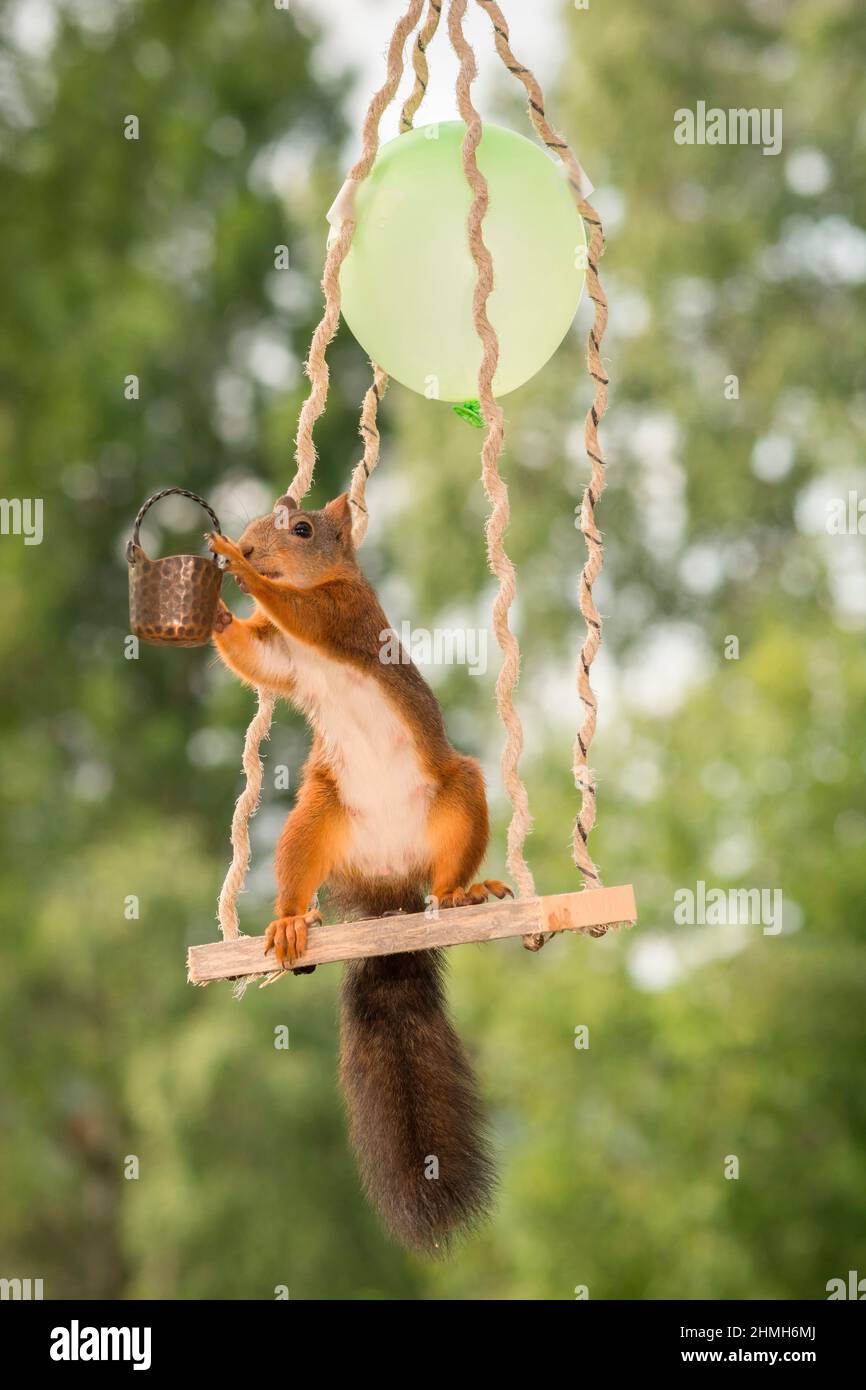 Balloon Kettle High Resolution Stock Photography and Images - Alamy
