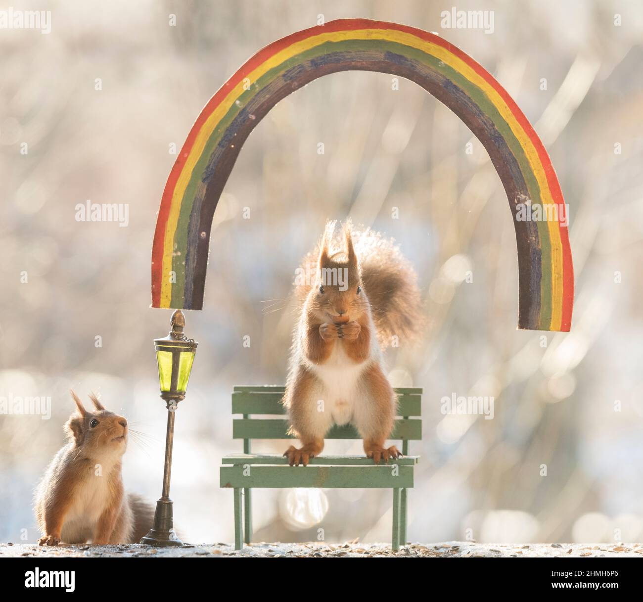 Rainbow bench hi-res stock photography and images - Alamy
