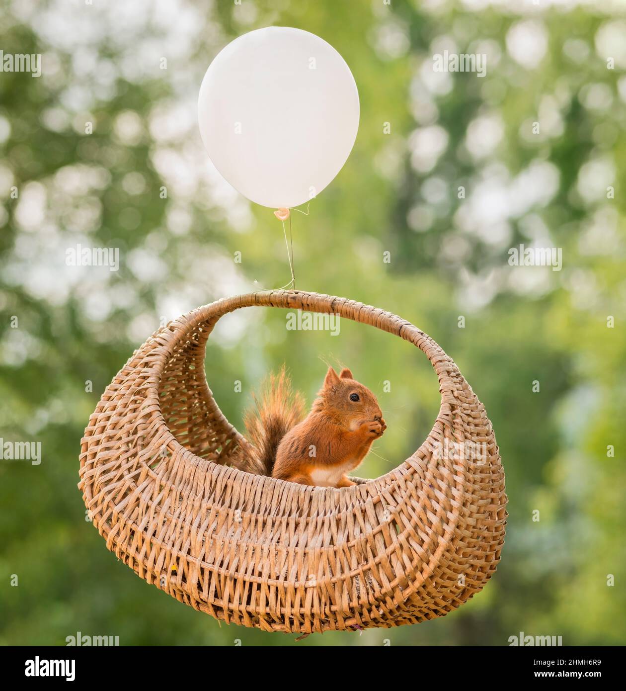 In a balloon basket hi-res stock photography and images - Alamy