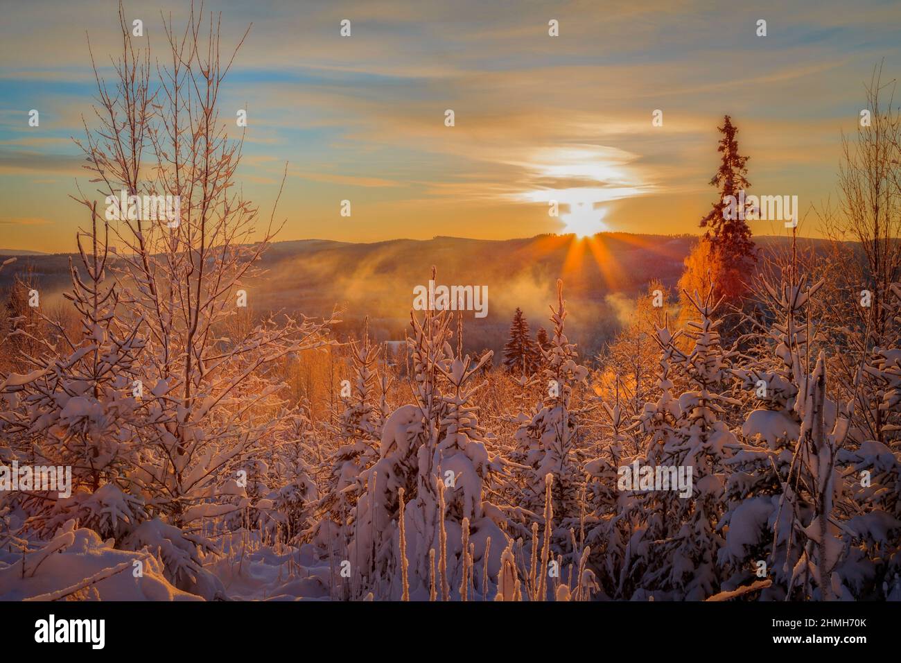 Winter sun through trees hi-res stock photography and images - Alamy