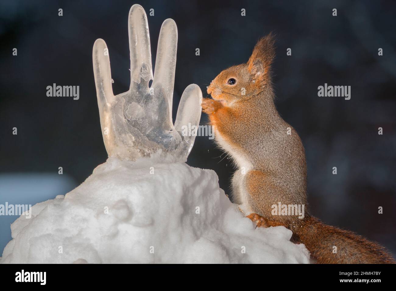 Finger touching ice hi-res stock photography and images - Alamy