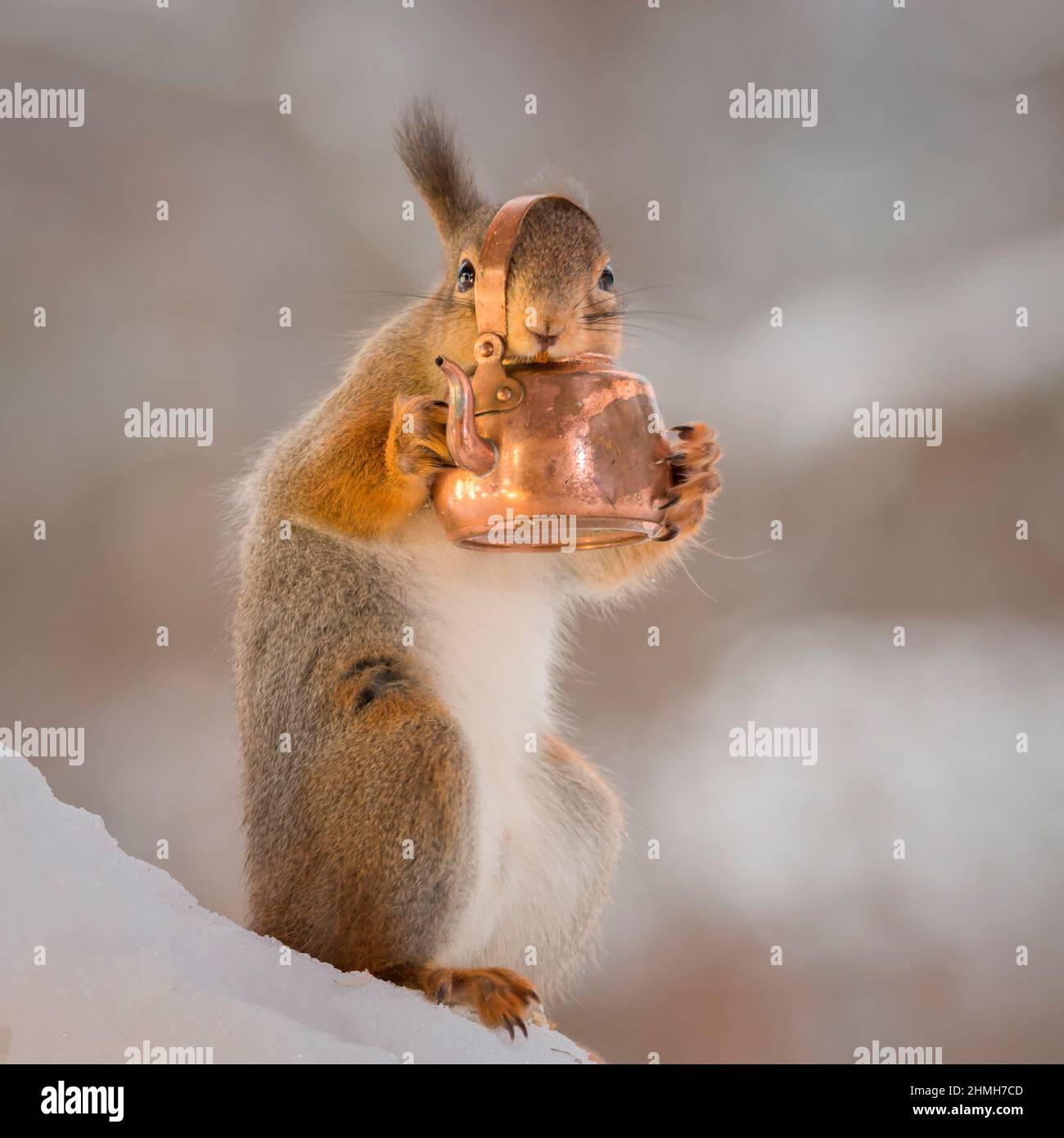 Copper can hi-res stock photography and images - Alamy