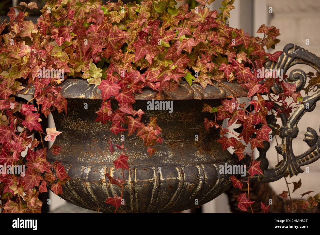 Huge cast iron flower pot hi-res stock photography and images - Alamy