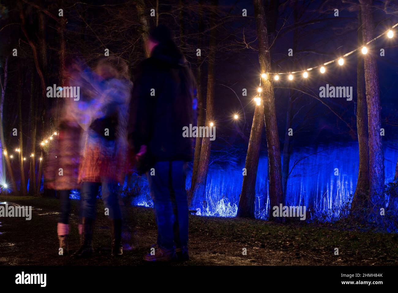 Fairy lights between trees hi-res stock photography and images - Alamy