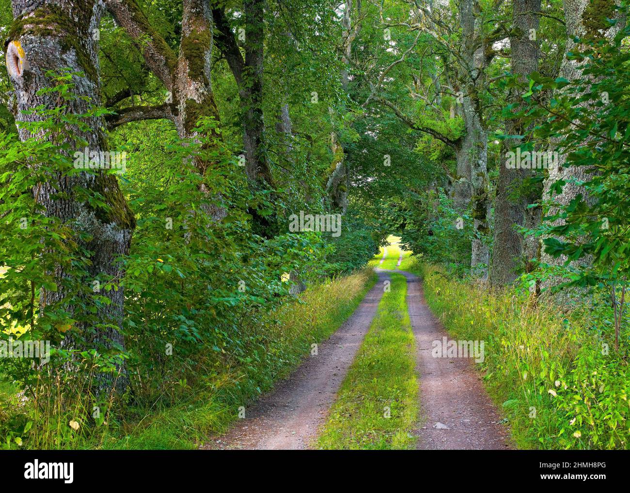 Falkoping hi-res stock photography and images - Alamy