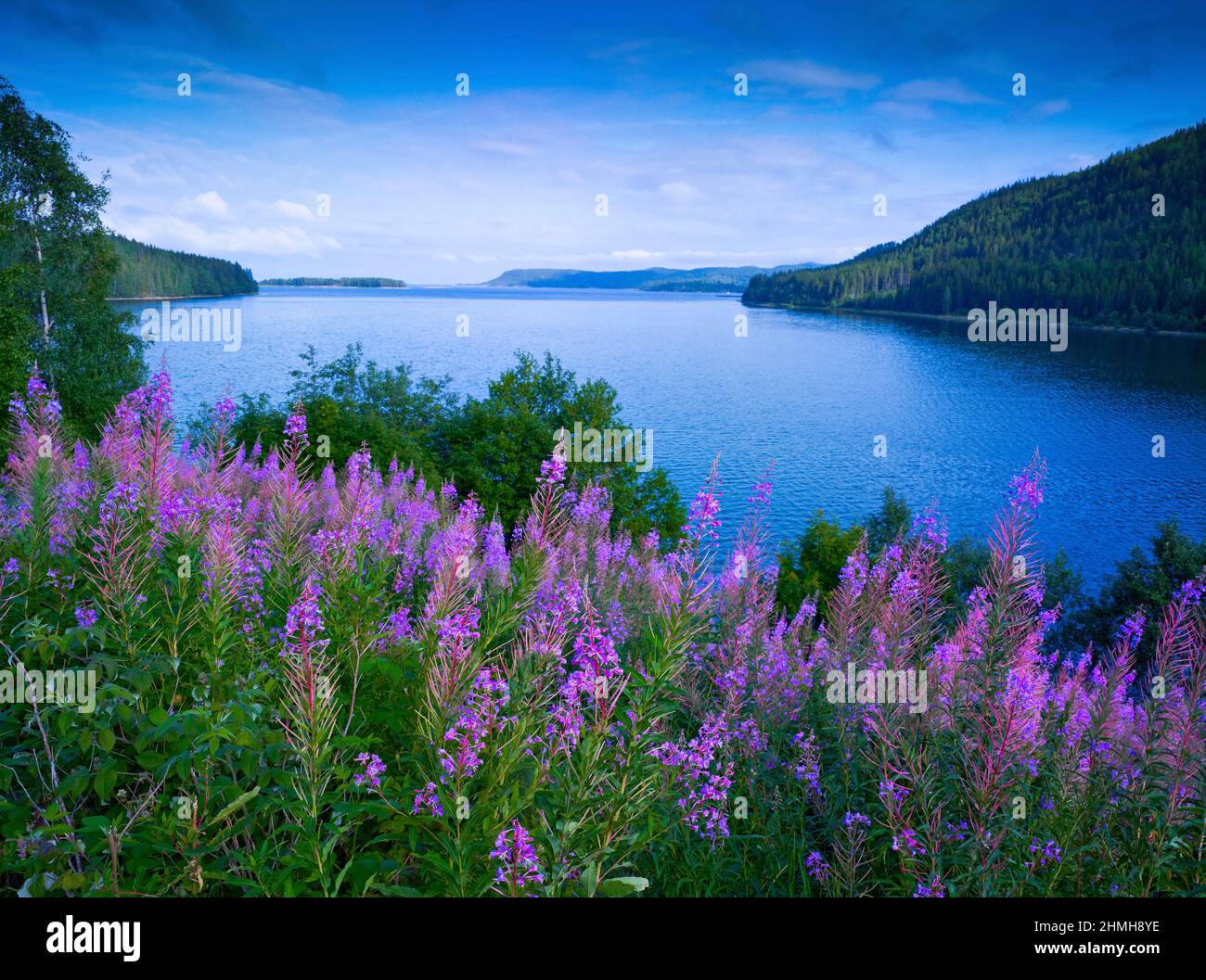 Omnefjord hi-res stock photography and images - Alamy
