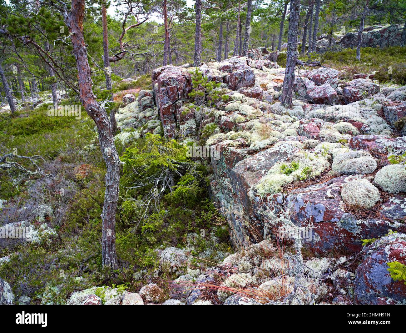 Europe, Sweden, Northern Sweden, Angermanland Province, UNESCO World ...