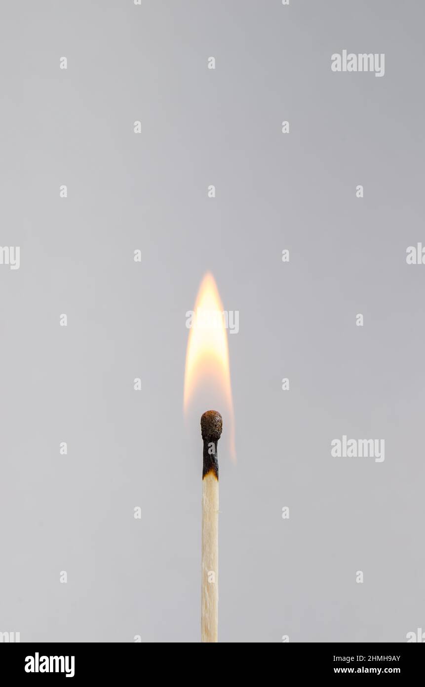Photo of a burning match on a light background with fire Stock Photo ...