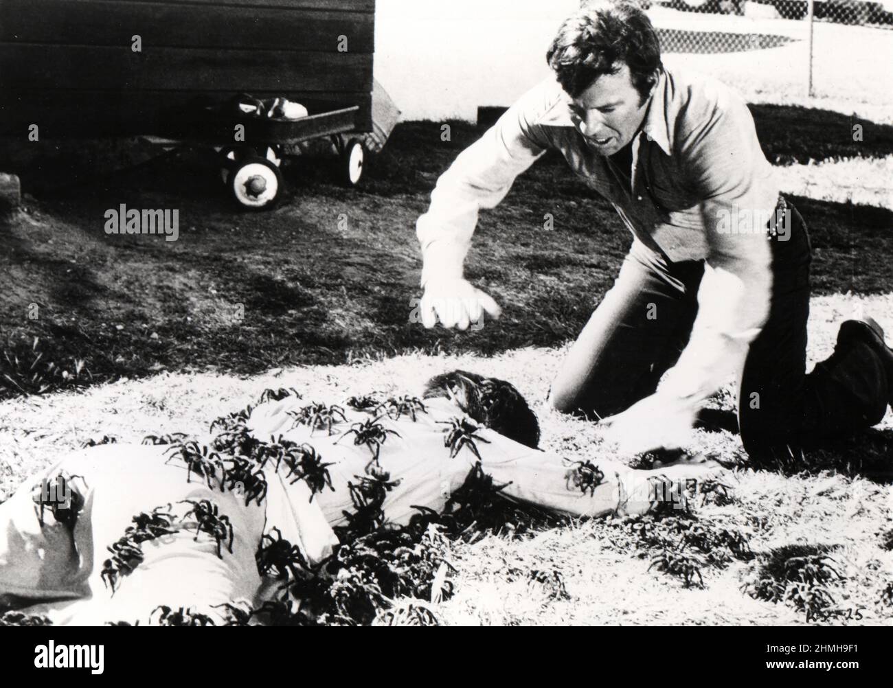 KINGDOM OF THE SPIDERS (1977) WILLIAM SHATNER JOHN 'BUD' CARDOS (DIR ...