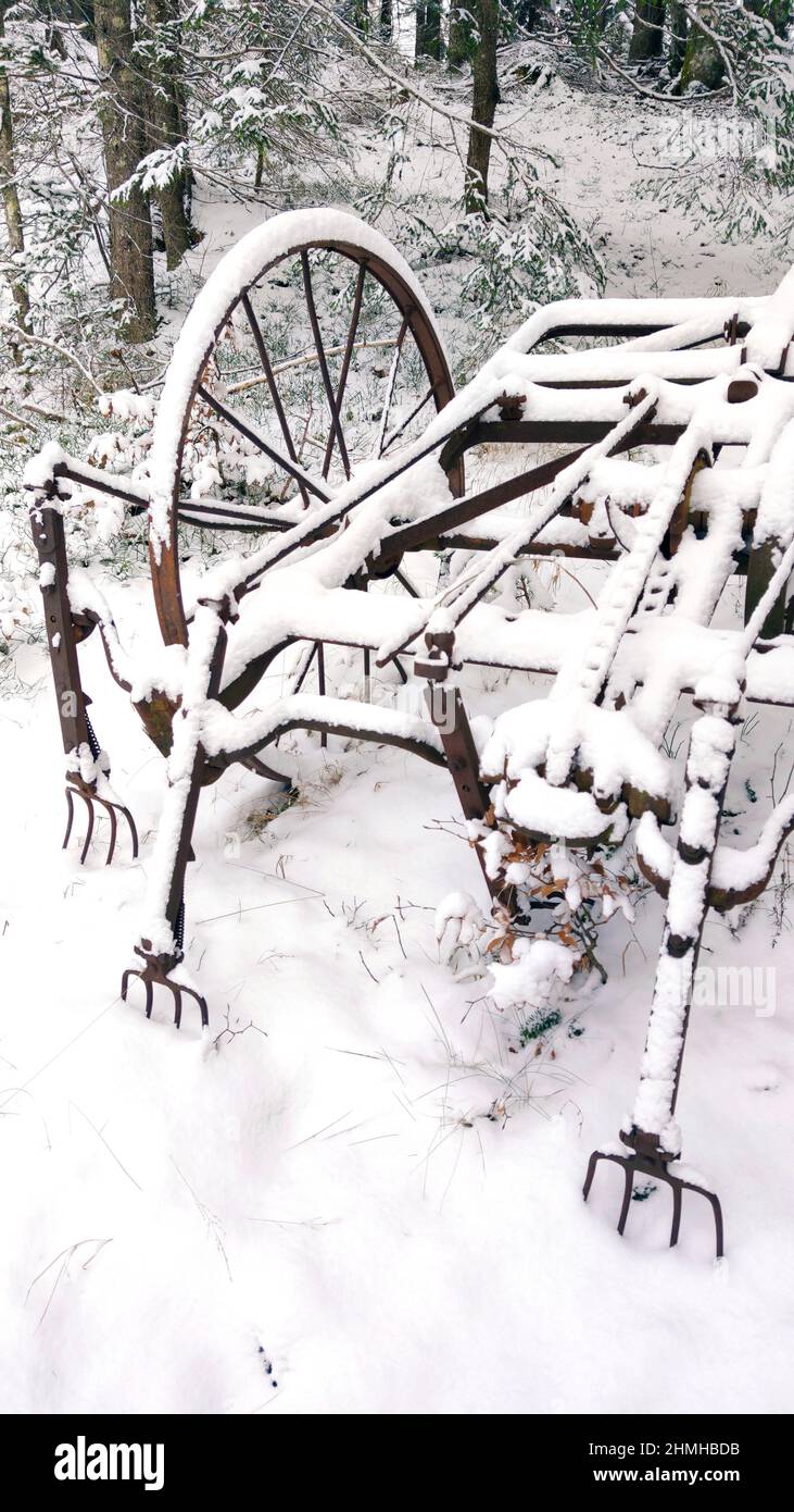 old hay tedder for working in the hay of the mountain meadows Stock ...