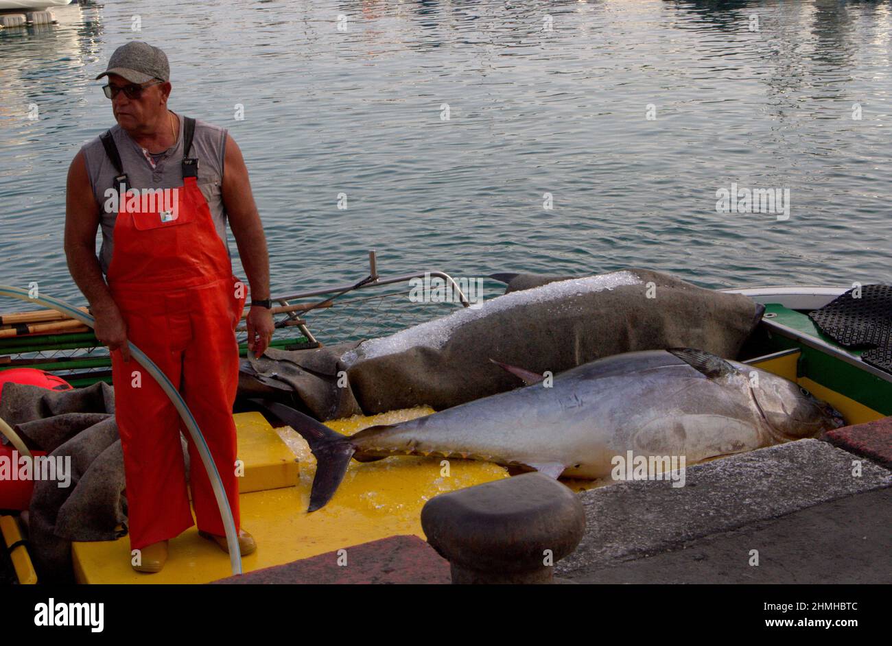 February 7, 2022, Tenerife, Spain: The Canary Islands begin fishing for ...