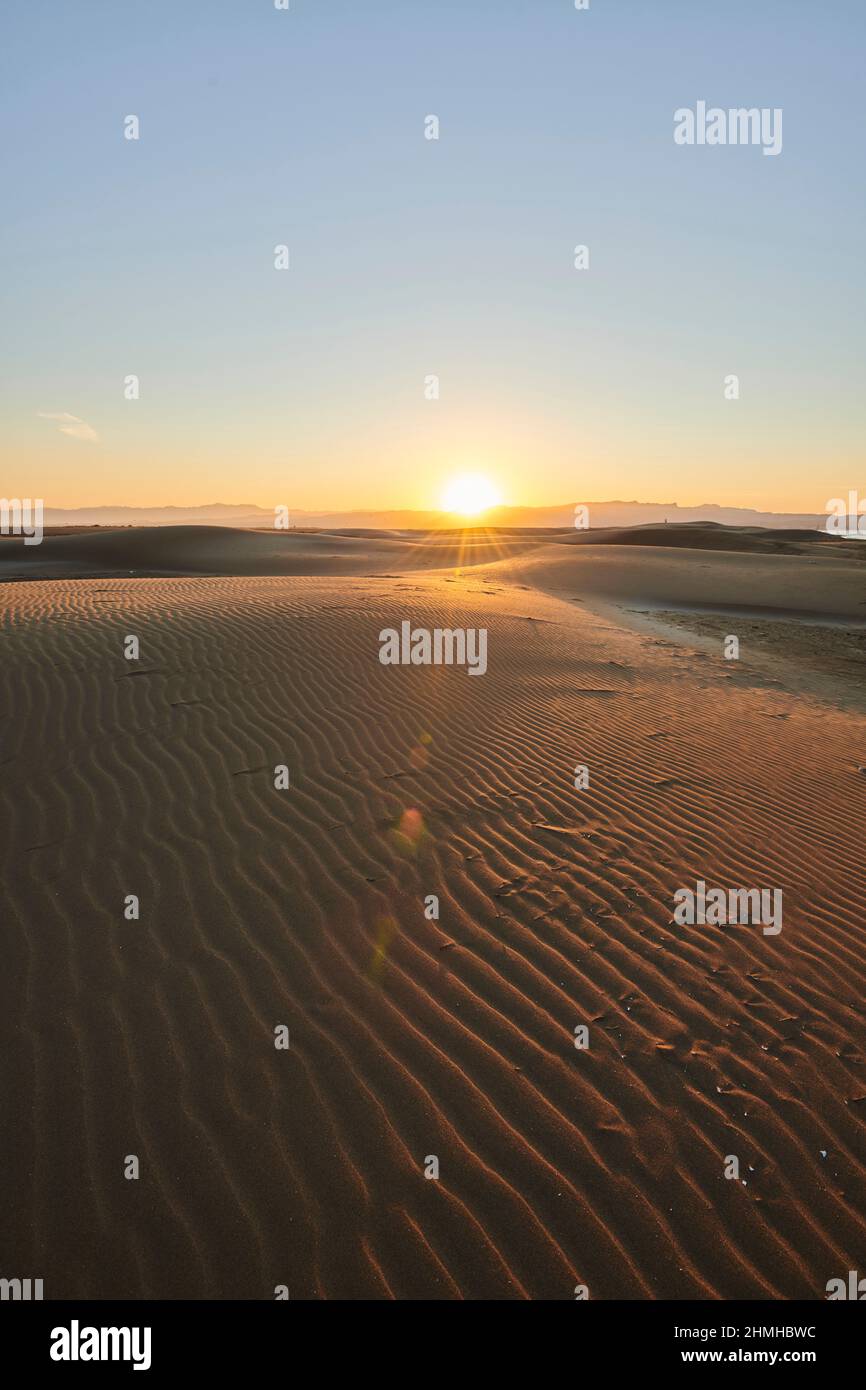 Sand dunes, Ebro River Delta, Catalonia, Spain Stock Photo - Alamy