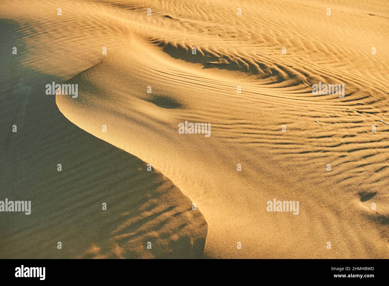 Sand dunes, Ebro River Delta, Catalonia, Spain Stock Photo - Alamy