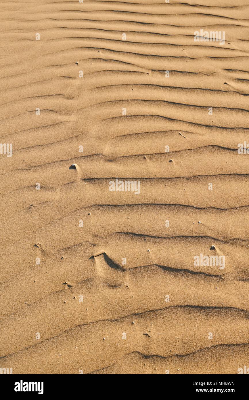 Sand dunes, Ebro River Delta, Catalonia, Spain Stock Photo - Alamy