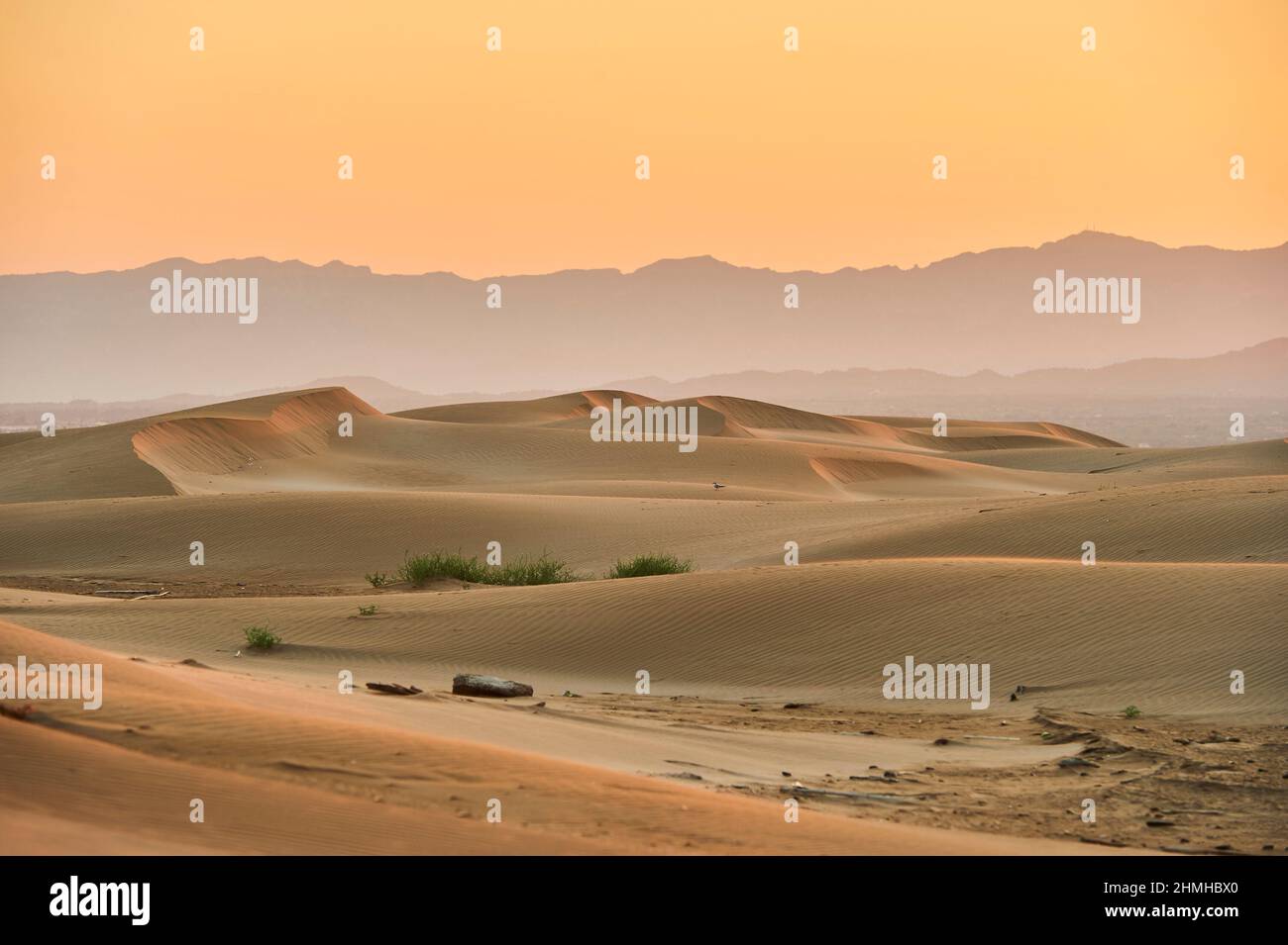 Sand dunes, Ebro River Delta, Catalonia, Spain Stock Photo - Alamy