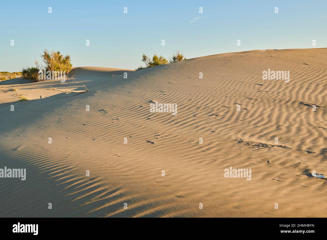 Blow river delta hi-res stock photography and images - Alamy