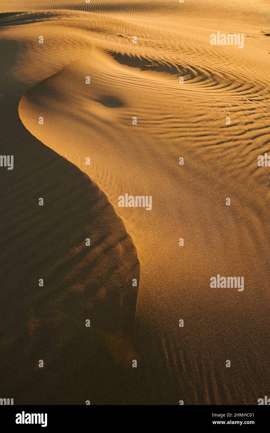 Sand dunes, Ebro River Delta, Catalonia, Spain Stock Photo - Alamy