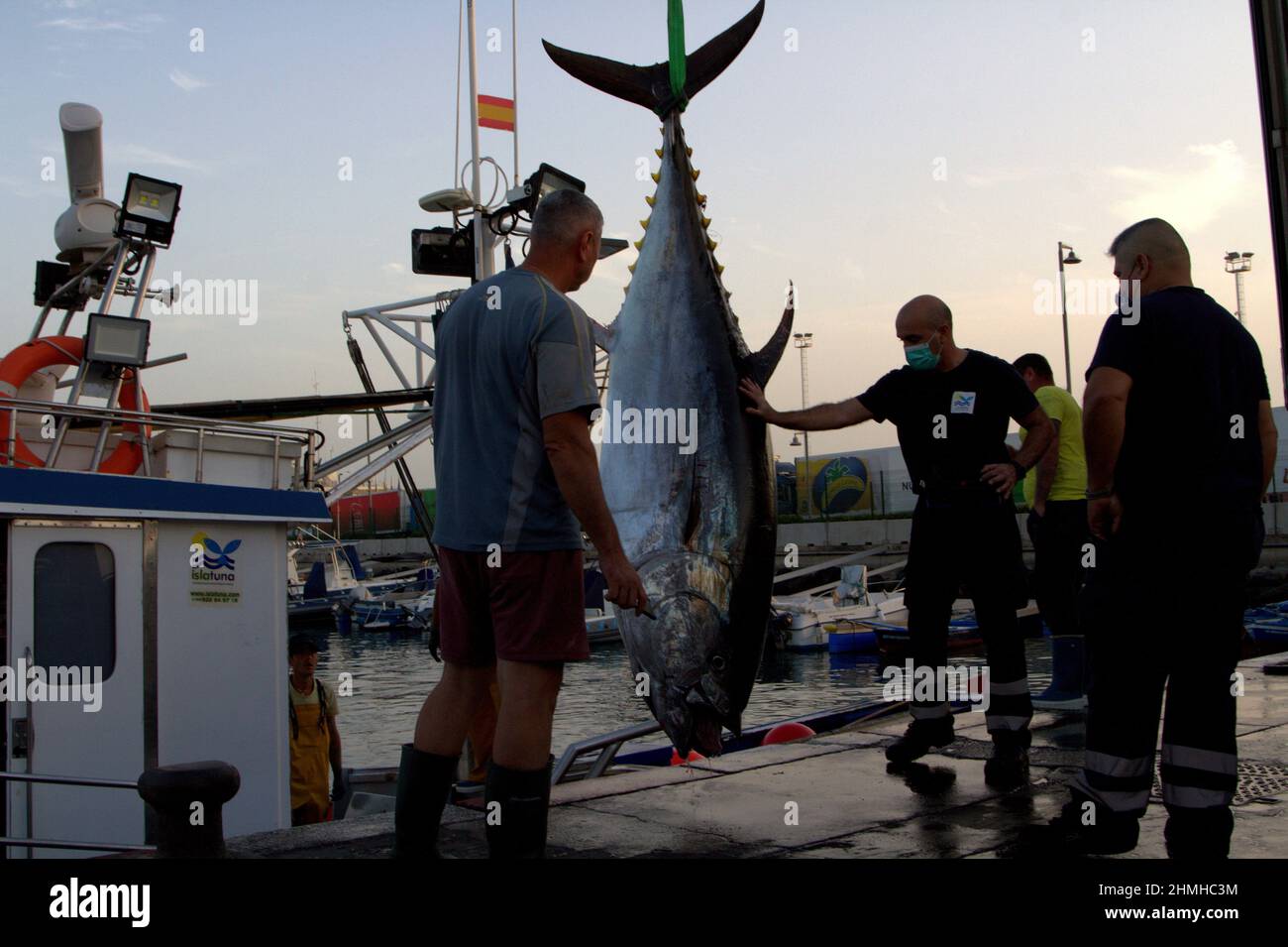Tenerife, Spain. 7th Feb, 2022. The Canary Islands begin fishing for ...