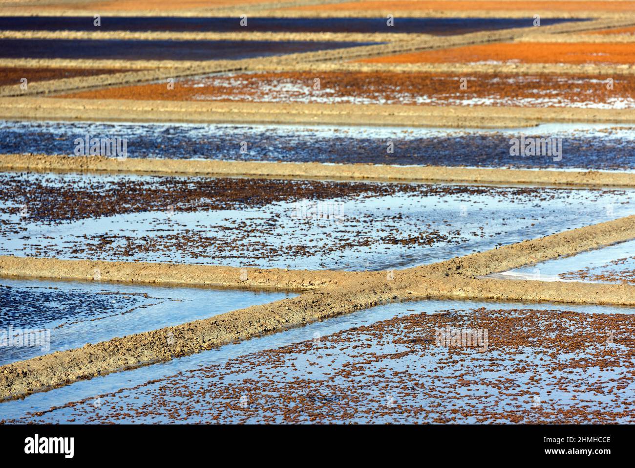 Salt production in france hi-res stock photography and images - Alamy