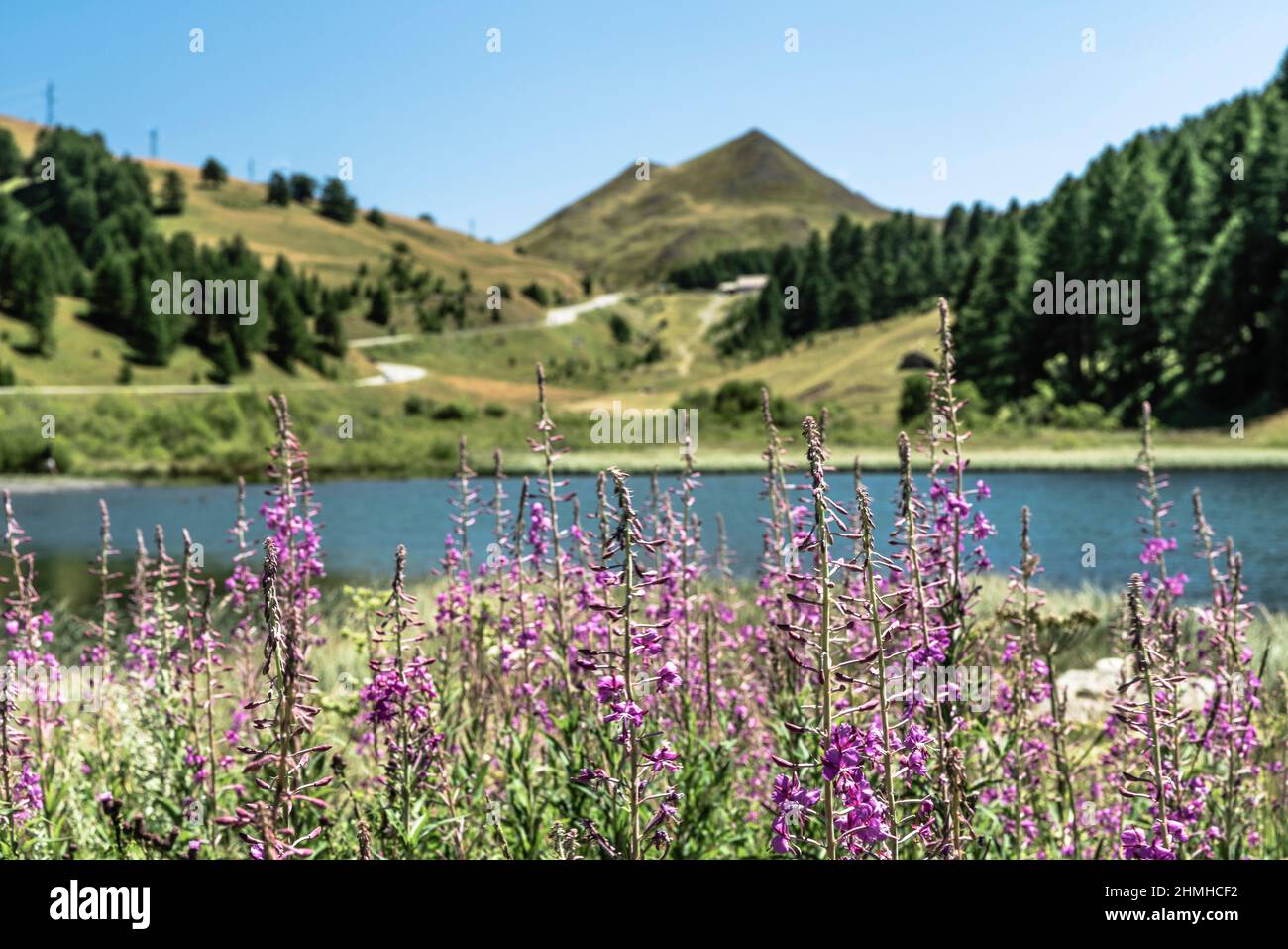 Lake at the Col de Vars Stock Photo - Alamy