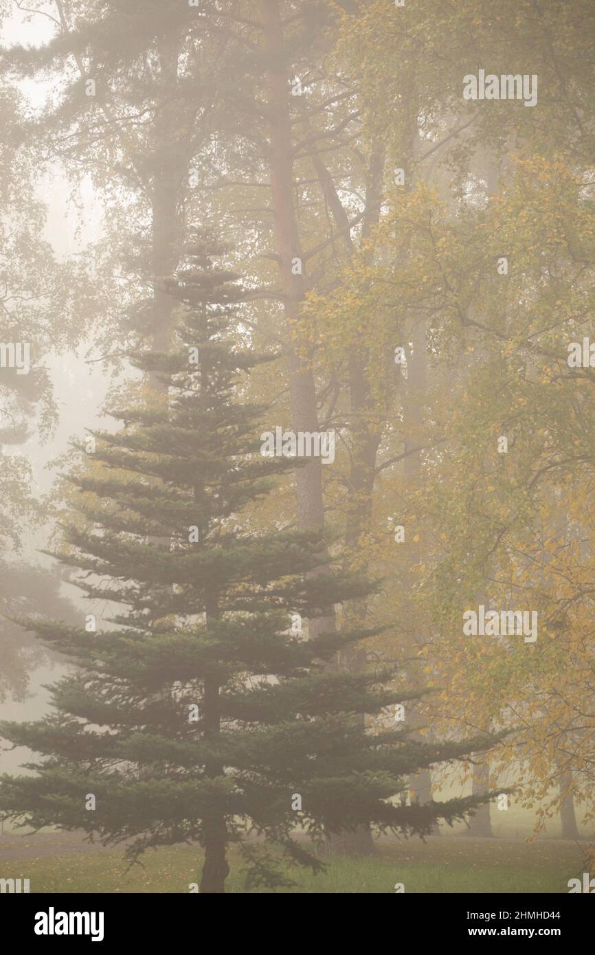 Nature september hi-res stock photography and images - Alamy