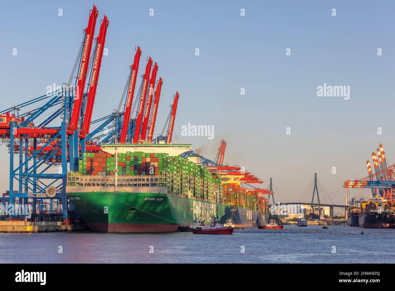The Ever Ace in Burchardkai in Hamburg Stock Photo - Alamy