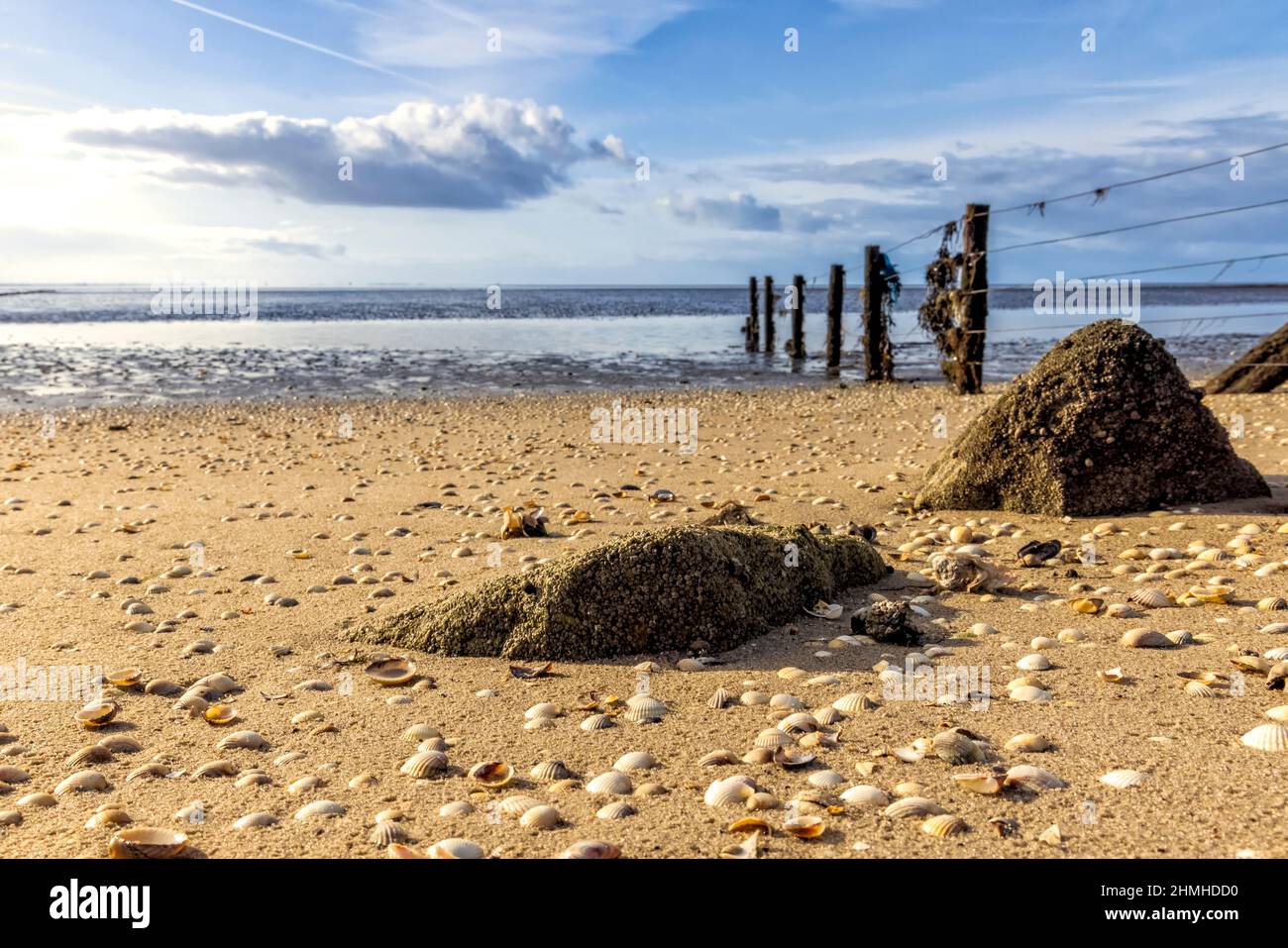 On the beach of Pellworm at low tide Stock Photo - Alamy
