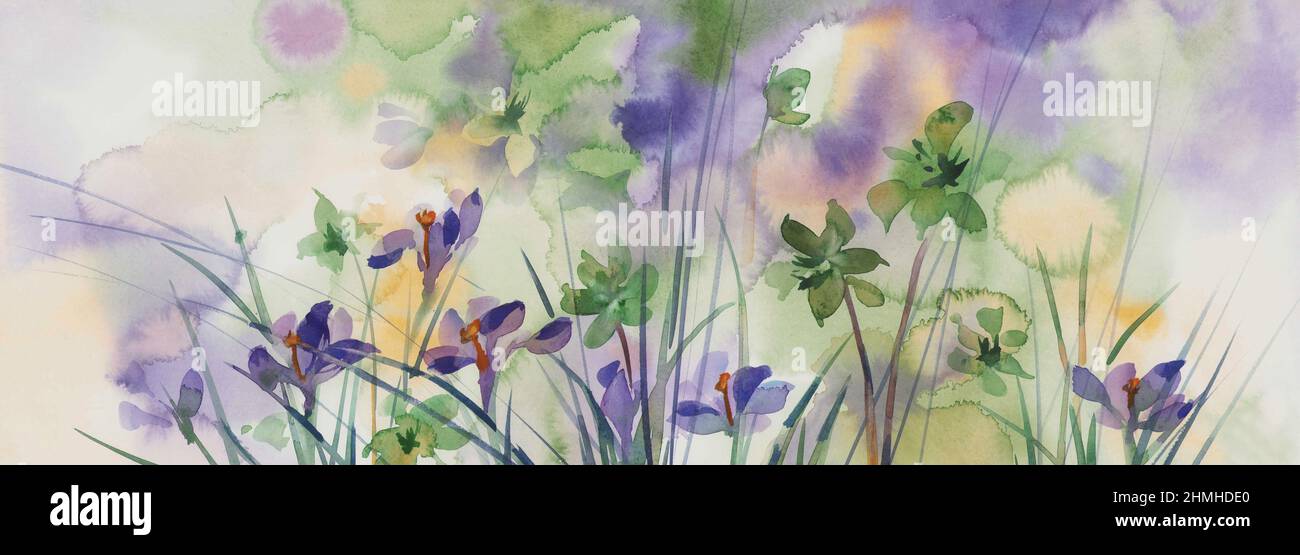 Violet and green spring flowers watercolor background Stock Photo - Alamy