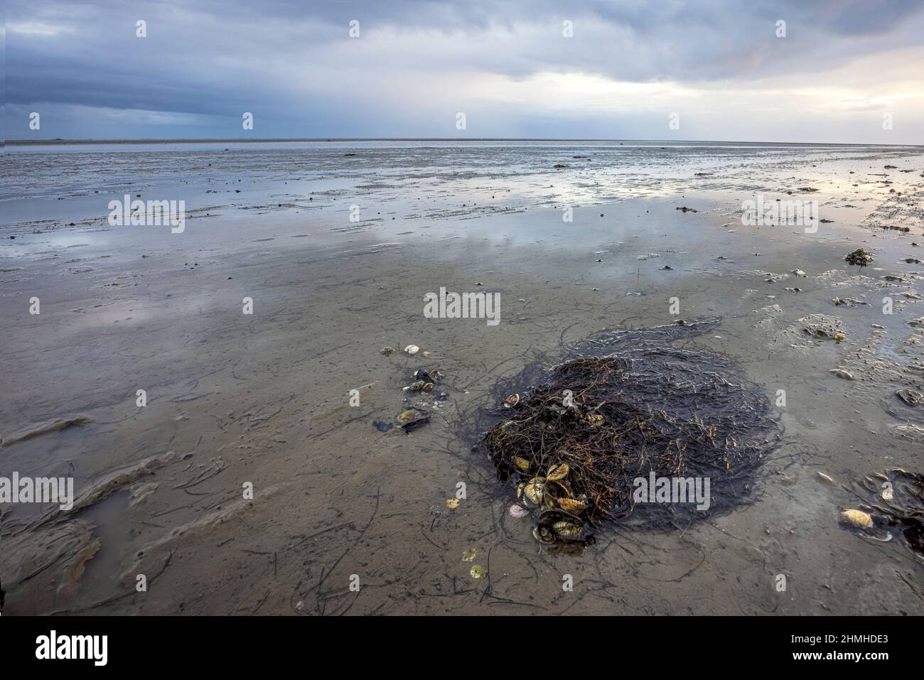 On the beach of Pellworm at low tide Stock Photo - Alamy