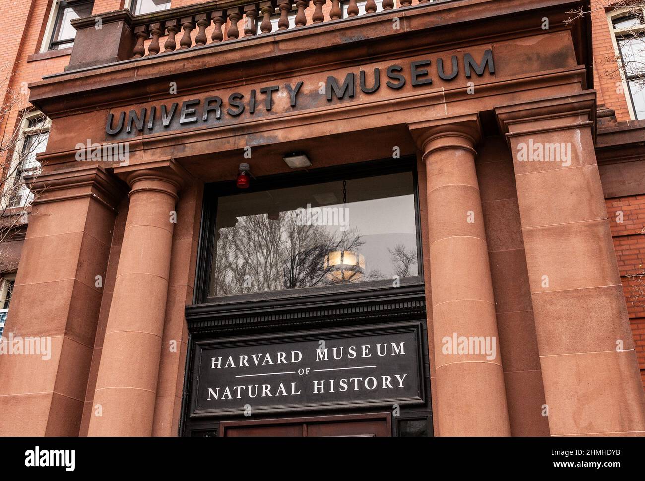 Cambridge, Massachusetts, USA - February 8, 2022: The Harvard Museum of ...
