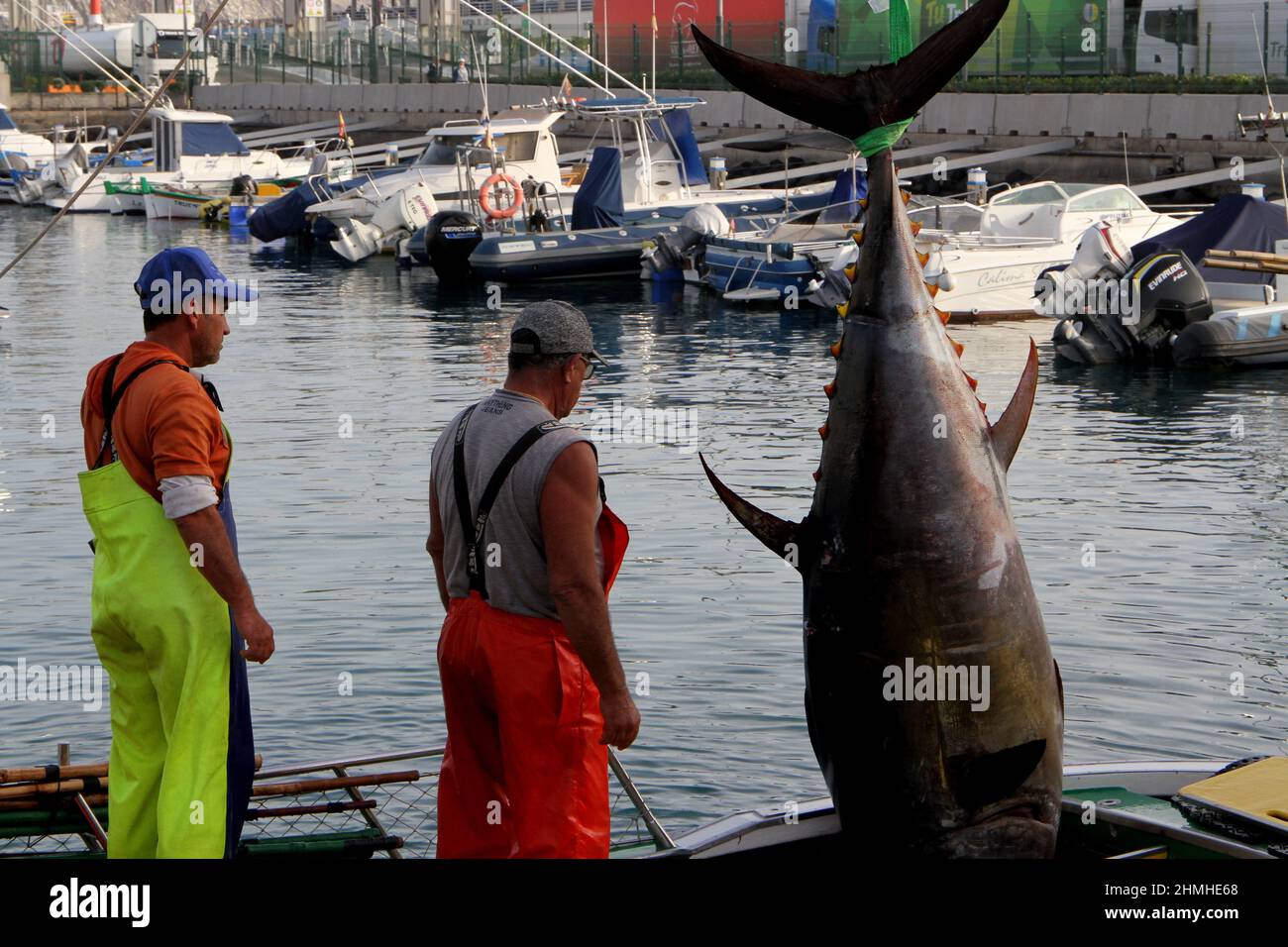 Tenerife, Spain. 7th Feb, 2022. The Canary Islands begin fishing for ...