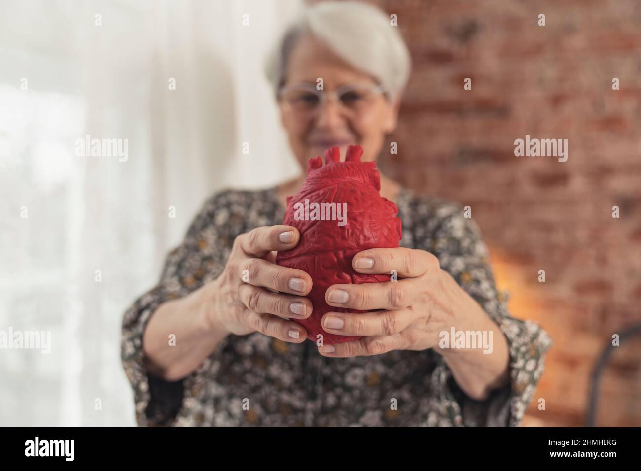 caucasian elderly lady holding fake heart cardiovascular disease heart ...