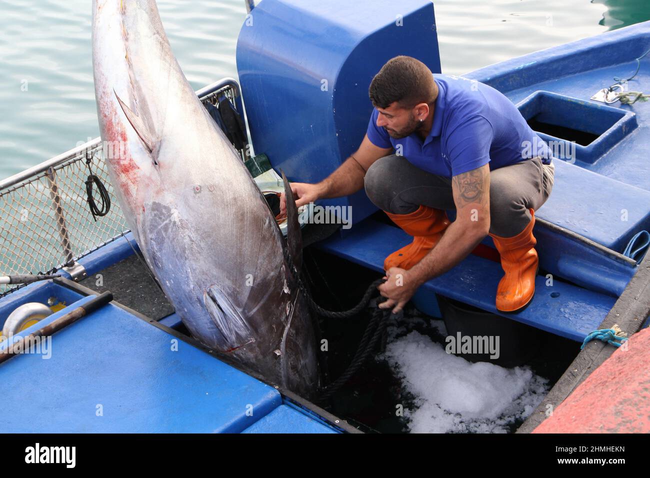 Tenerife, Spain. 7th Feb, 2022. The Canary Islands begin fishing for ...