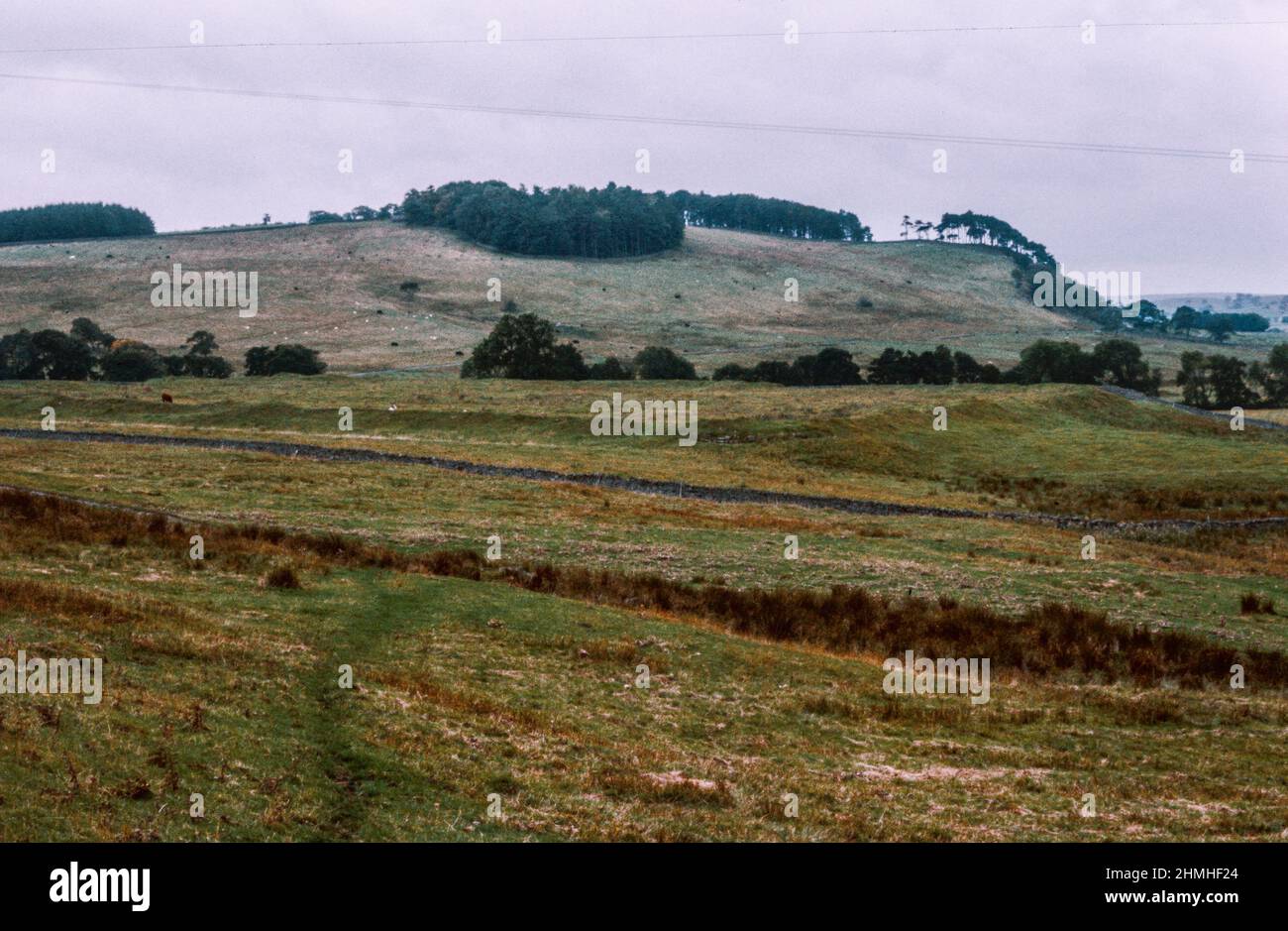 Habitancum - an ancient Roman fort (castrum) located at Risingham ...