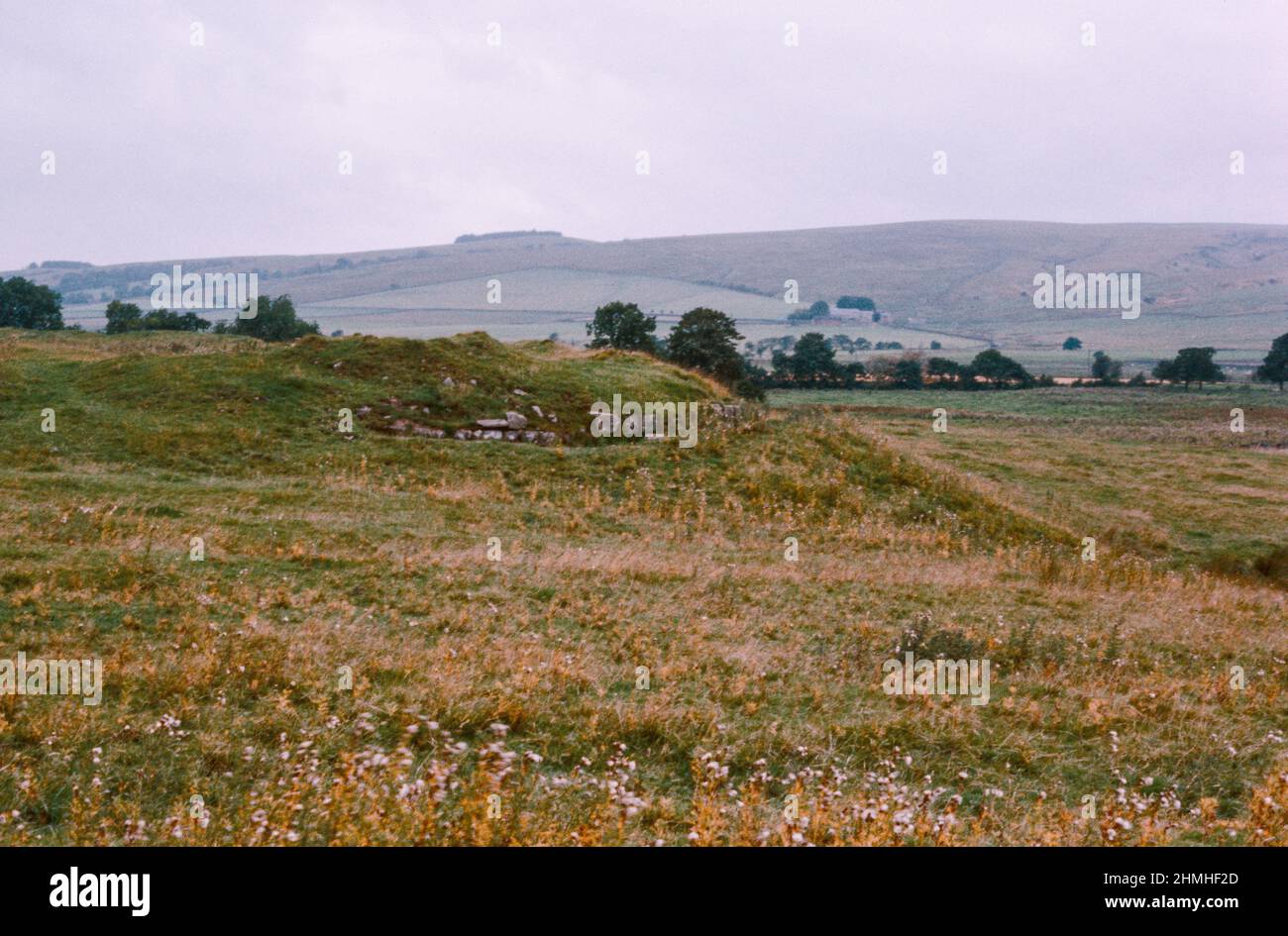Habitancum - an ancient Roman fort (castrum) located at Risingham ...