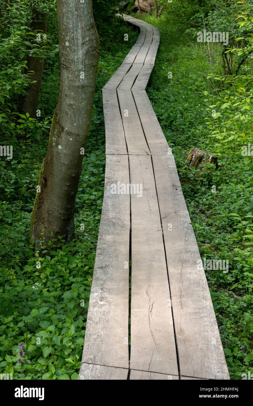 Plank wood pathway hi-res stock photography and images - Alamy