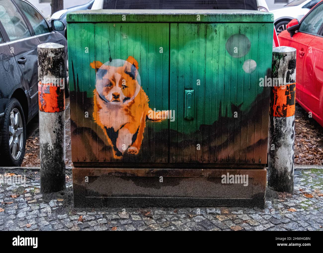 Laika the dog, first animal to orbit the earth in Soviet Spacecraft ...